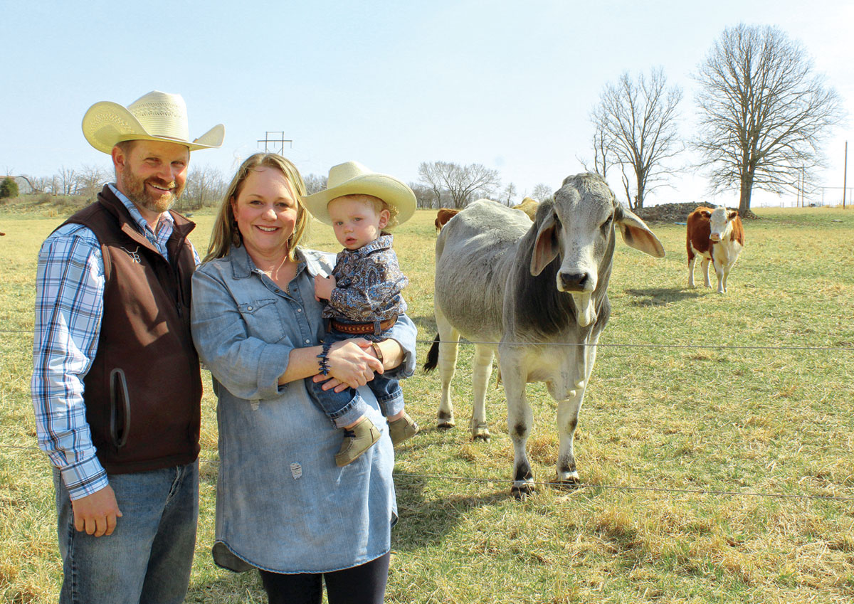 Cattle That Work Ozarks Farm And Neighbor Newspaper